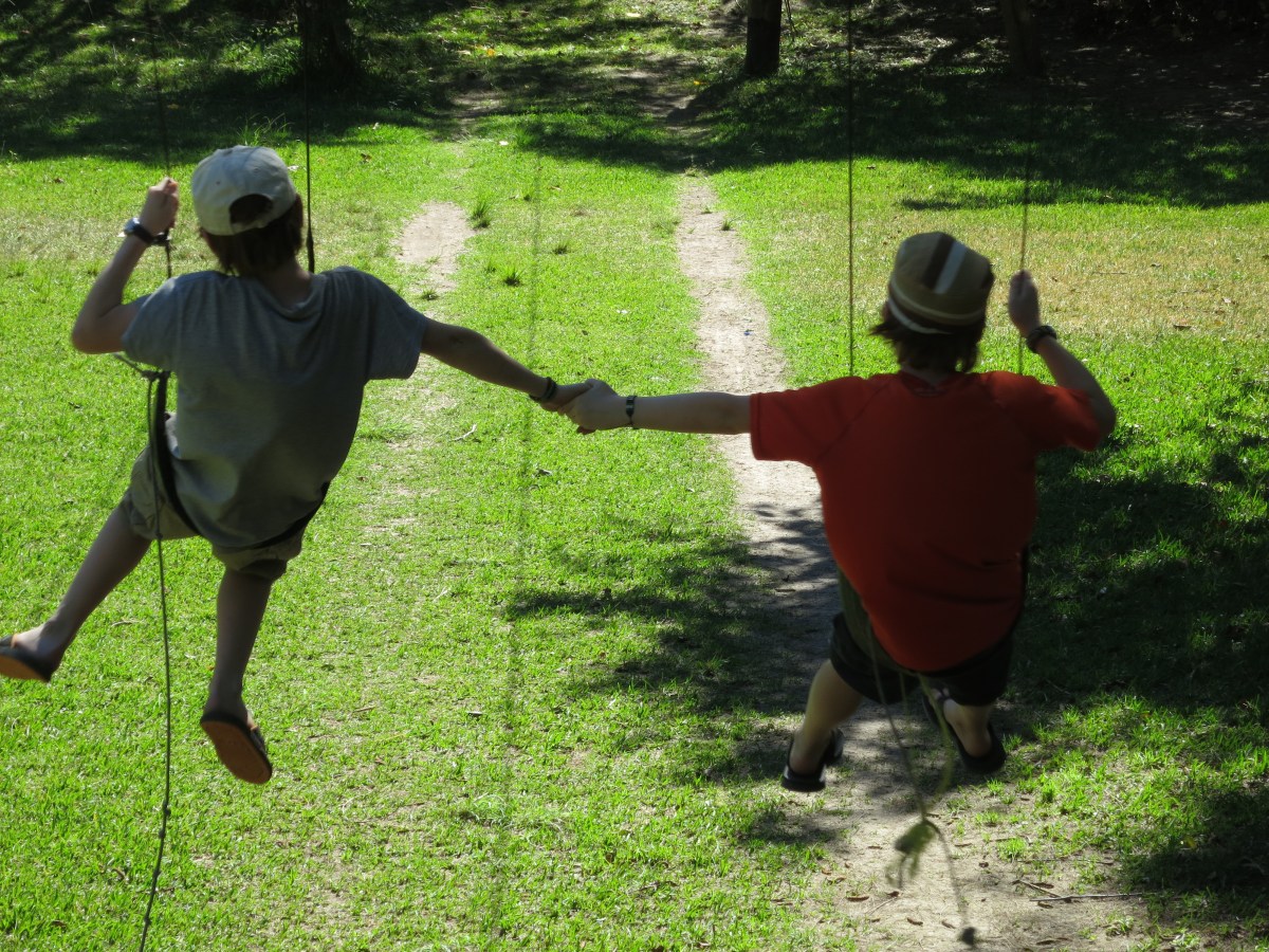 In case you were wondering about the plums: – ICEBOX PLUMS: Moments ...