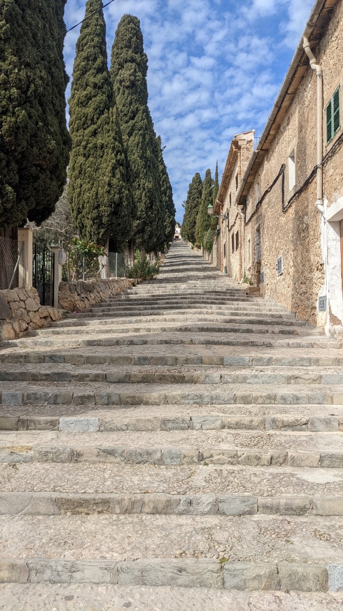 New Terms – ICEBOX PLUMS: Moments, sweet and cold